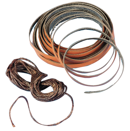 Pisces Healthcare Solutions. Allen Cognitive Level Screen